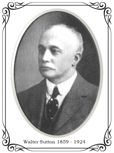 1920s | Suttons The House of Music